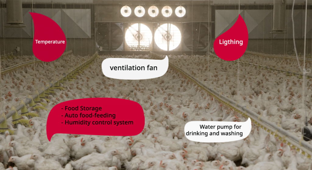 Power Generator in Chicken Farm - Cummins DKSH (Thailand)